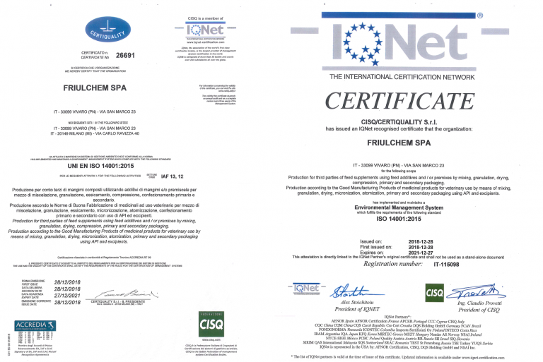 IQNET RECOGNIZED CERTIFICATE - Friulchem spa